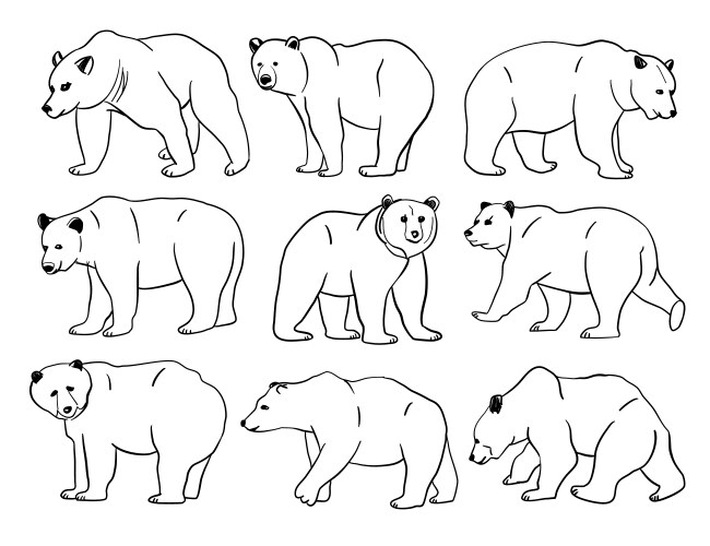 Bear Outline Vector Images (over 30,000)