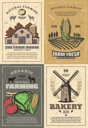 Agriculture gardening and farming tools poster Vector Image