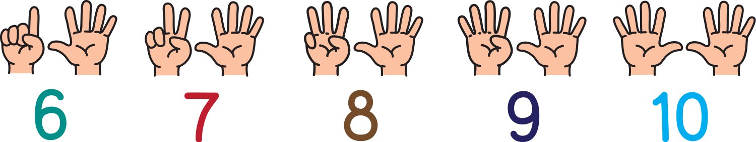 Counting hand Royalty Free Vector Image - VectorStock