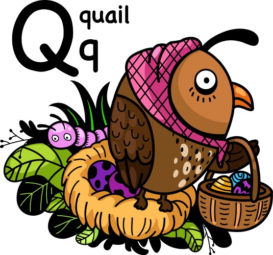 Flashcard Letter Q Vector Images (over 140)