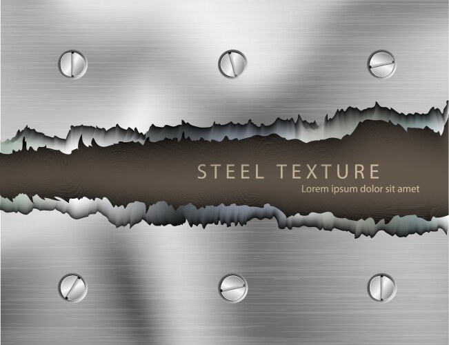 Metal plate background Royalty Free Vector Image