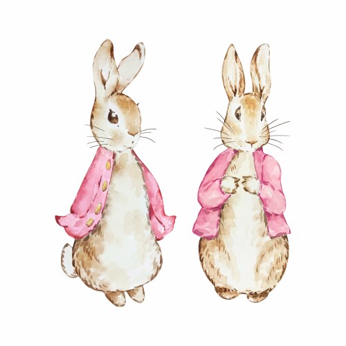 Watercolor peter rabbit in pink jacket Royalty Free Vector