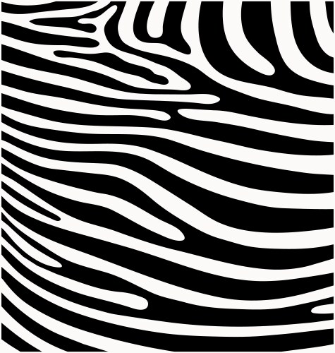 Zebra print Royalty Free Vector Image - VectorStock