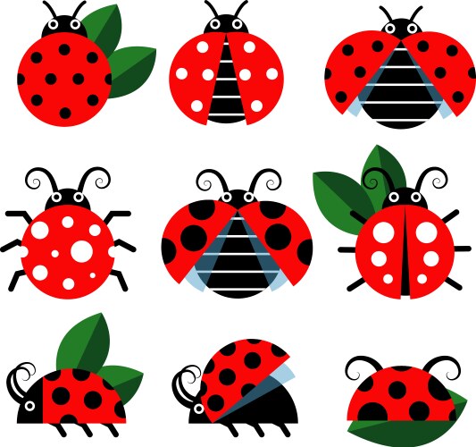 Ladybug Vector Images (over 25,000)