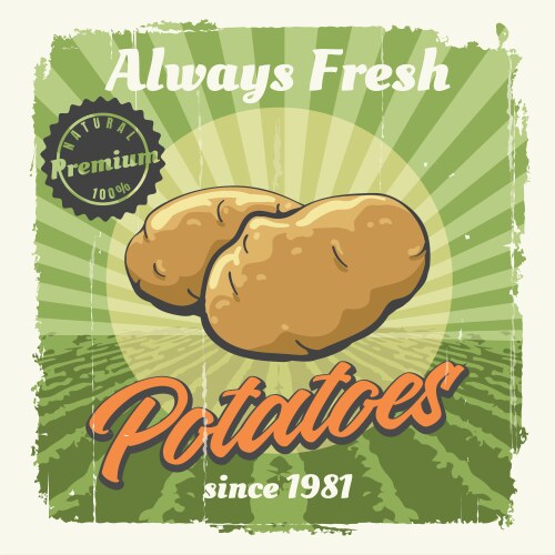 Goofy cartoon farm fresh potato Royalty Free Vector Image