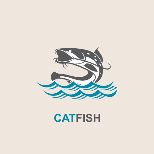 Redtail catfish Royalty Free Vector Image - VectorStock