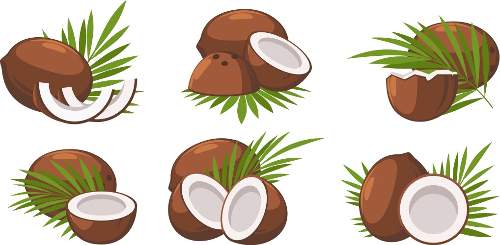 Coconut detailed icon Royalty Free Vector Image