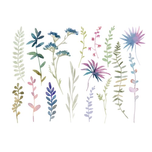 Beautiful clip art stock set Royalty Free Vector Image