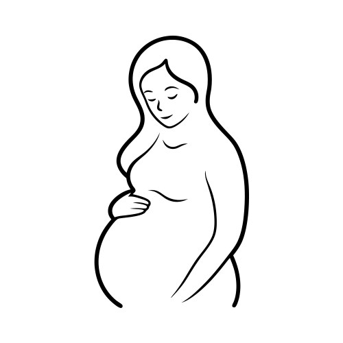 Pregnancy line art outline drawing design Vector Image