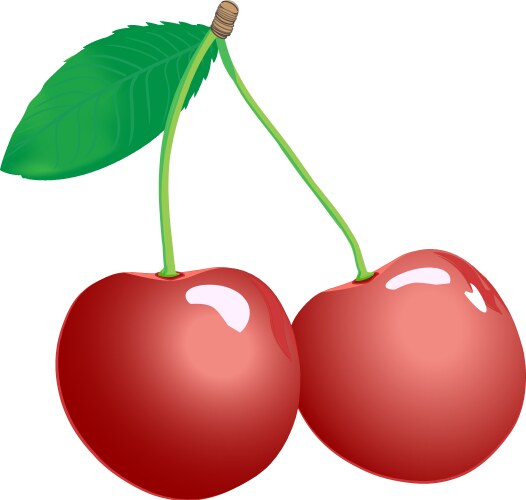 Cherry Vector Images (over 150,000)