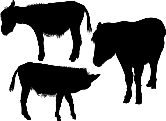 Donkey Vector Images (over 14,000)