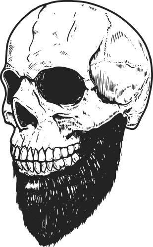 Skull with Beard Vector Images (over 6,500)