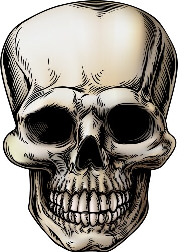 Skull Front Facing Vector Images (over 2,200)