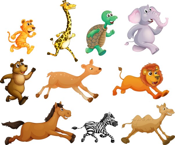 Forest animals set Royalty Free Vector Image - VectorStock