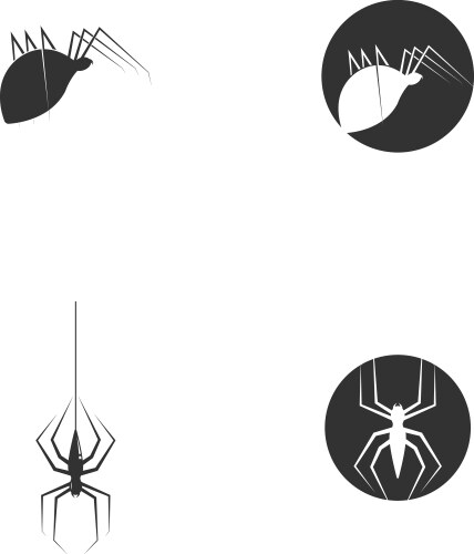 Spider logo Royalty Free Vector Image - VectorStock