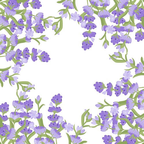 Decorative frame of lavender flowers Royalty Free Vector