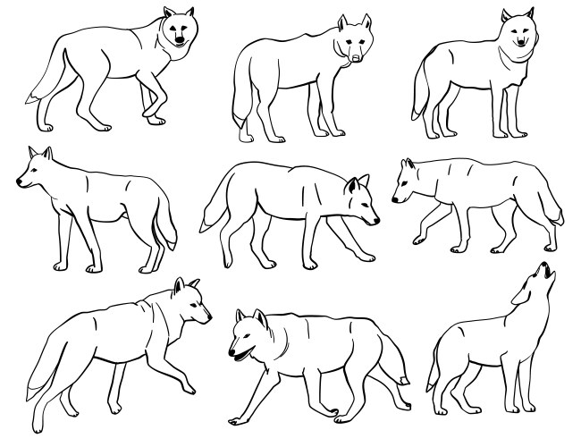 Wolf Outline Vector Images (over 5,400)