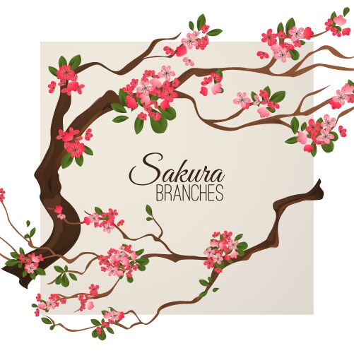 Japanese blossoming sakura branches with cherry Vector Image