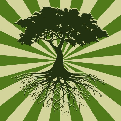 Tree Roots Vector Images (over 20,000)