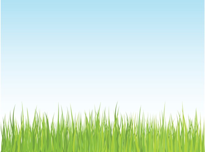 Super realistic grass Royalty Free Vector Image