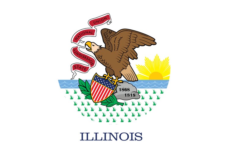Illinois State Shape Vector Images (over 420)