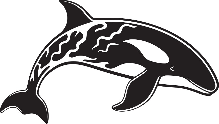 Orca - black and white Royalty Free Vector Image