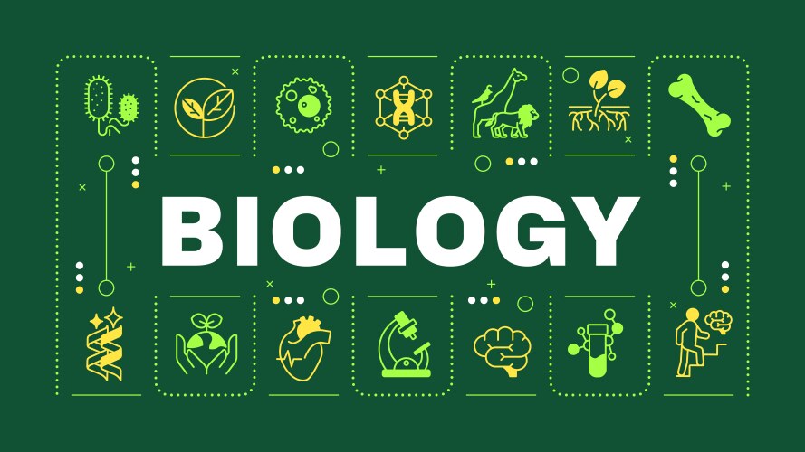 Mathematics word concepts banner presentation Vector Image