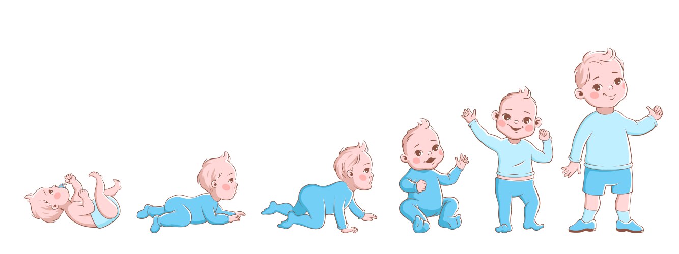 Baby growth stages development process from Vector Image