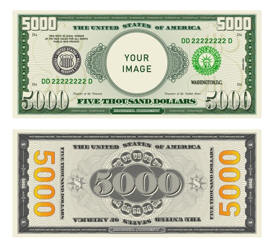 Highly detailed fictional beautiful 2000 usd Vector Image