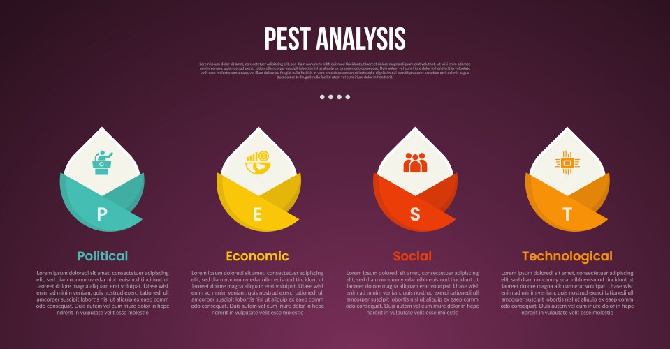 Customer journey marketing process infographic Vector Image