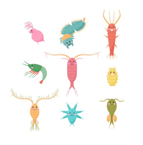 Zooplankton Vector Images (over 450)