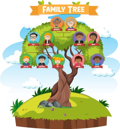Diagram showing three generation family tree Vector Image