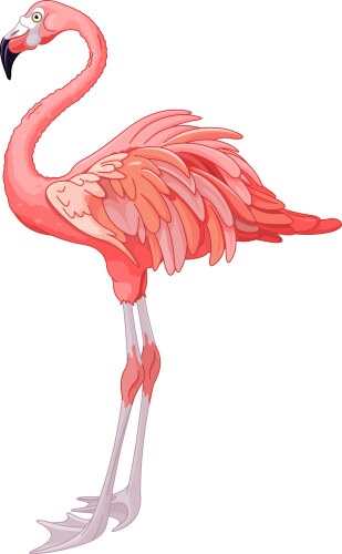 Flamingo Vector Images (over 32,000)