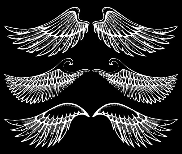 Hand Drawn Wing Motif Royalty Free Vector Image