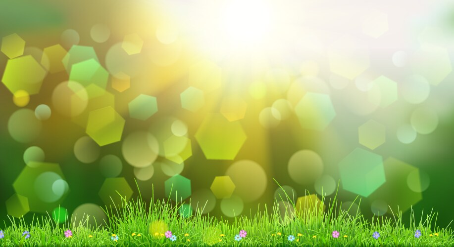 Sunlight sun rays through foliage Royalty Free Vector Image