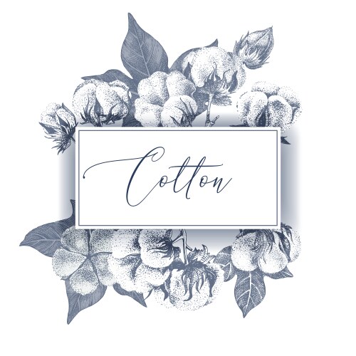 Hand drawn cotton plant Royalty Free Vector Image
