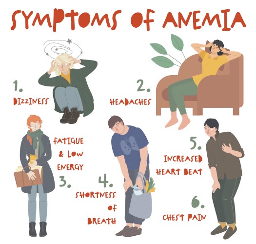 Anemia icons set Royalty Free Vector Image - VectorStock