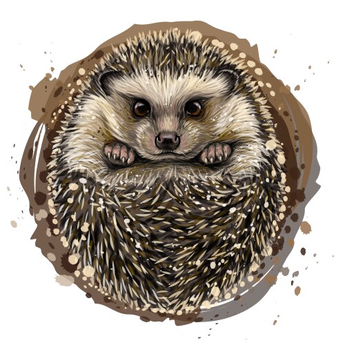 Hedgehog Vector Images (over 19,000)
