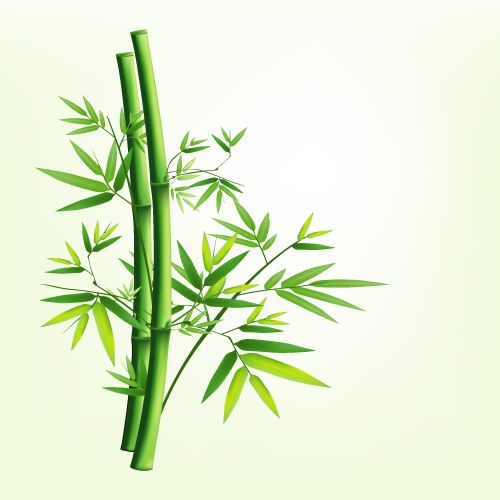 Bamboo Vector Images (over 45,000)