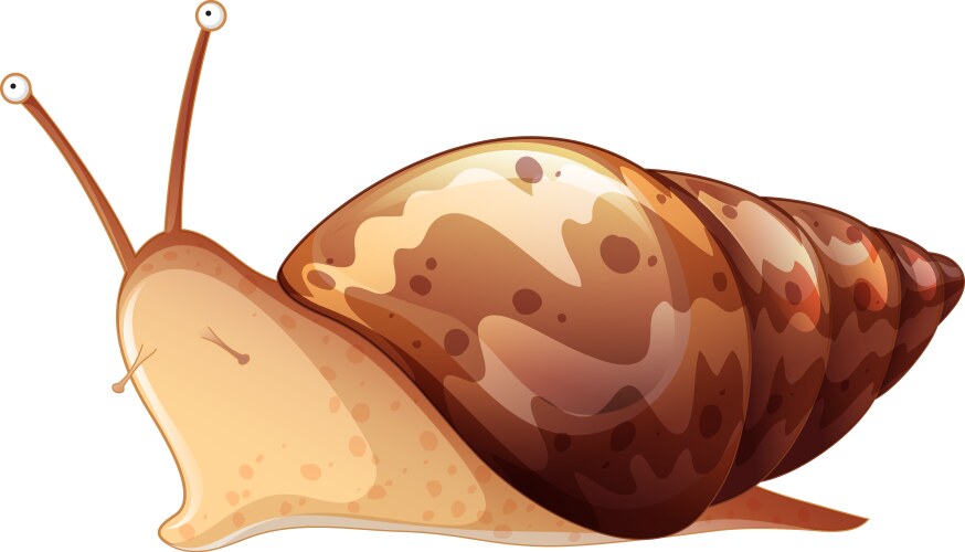 Cheetah of a on white background Royalty Free Vector Image