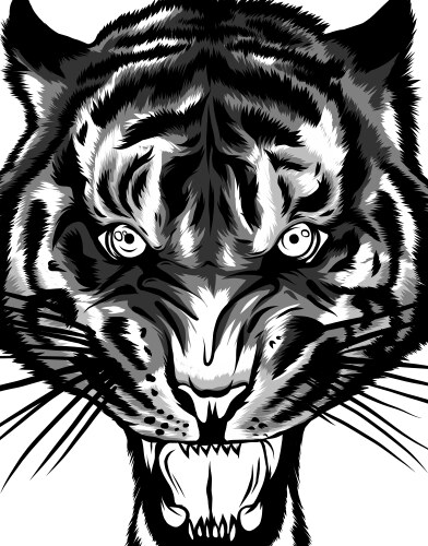 Anger Vector Images (over 48,000)