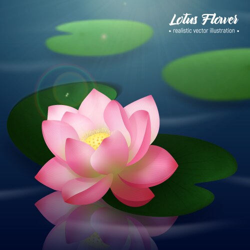 Lotus Background Vector Images (over 36,000)