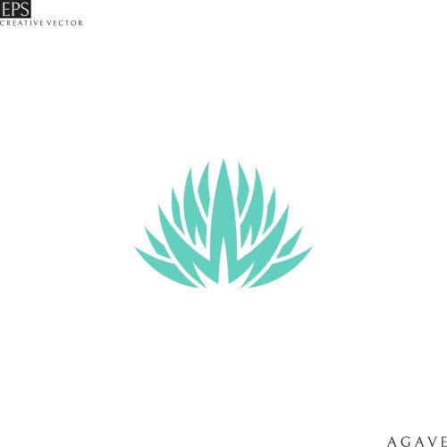 Agave Royalty Free Vector Image - VectorStock