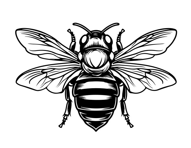 Bee Vector Images (over 97,000)