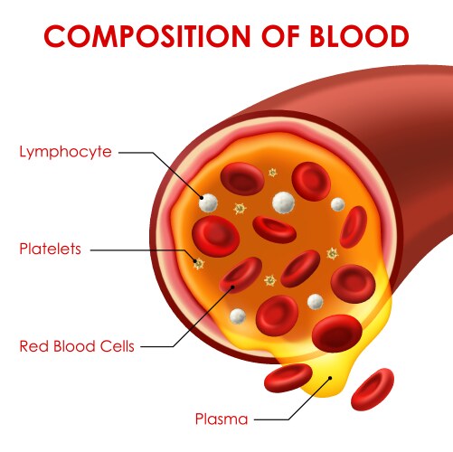 Blood Platelet Vector Images (over 1,900)