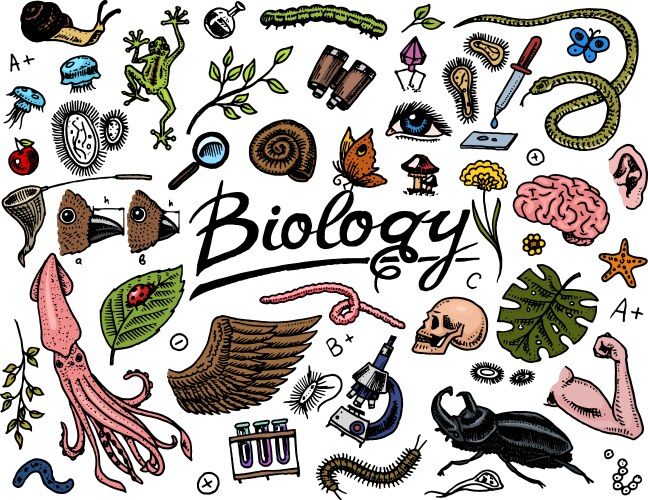 Biology Vector Images (over 470,000)