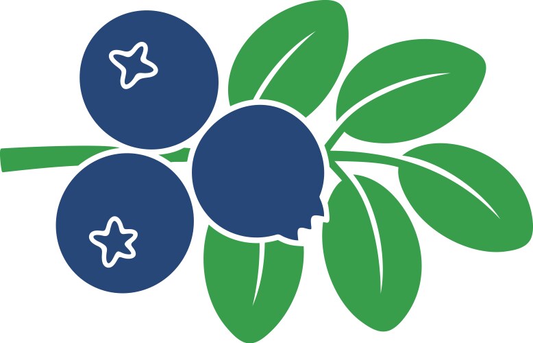 Blueberry logo isolated Royalty Free Vector Image