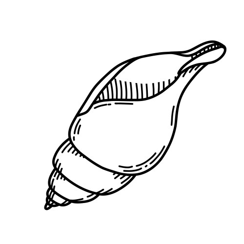 Cowrie or cowry sea shell sketch style Royalty Free Vector