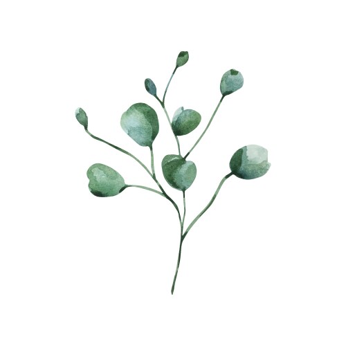 Watercolor wreath with green eucalyptus Royalty Free Vector