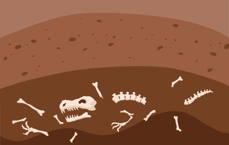 Carbon Cycle Vector Images (over 1,000)